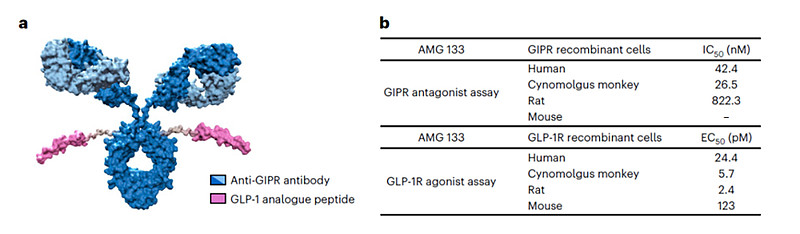 3个月内减重超25斤的潜在“first-in-class”疗法；多款基因疗法取得重要进展... | 一周盘点 本期看点1. 安进 （Amgen ...