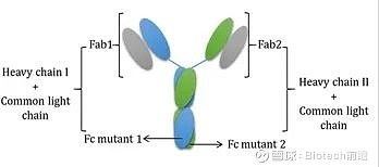 Her2老靶点的新突破丨一文梳理小分子/双抗/ADC进展 HER2(人表皮生长因子受体2)是重要的癌症驱动基因，在多个癌种当中高度表达，其中 ...