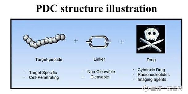 靶向治疗时代，PDC能像ADC一样引燃市场？ 来源：博药公众号作者：米朵短短两三年之间，全球ADC药物市场开启飞奔模式，药物研发和资本热度持续 ...