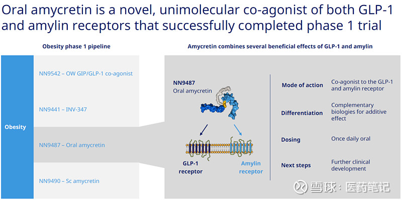 诺和诺德大涨9%，市值突破6000亿美元 Armstrong 2024年3月7日， 诺和诺德 举办投资者日活动，介绍了研发管线最新进展。当天 ...