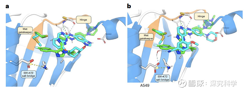 英矽智能Nat Biotech最新论文：揭示靶向TNIK的抗特发性肺纤维化药物发现流程及原始数据 导读“人工智能赋能药物发现正在产生重大影响 ...