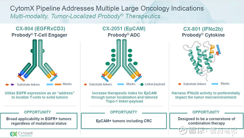 前抗体技术：Cytomx沉沦，Janux异军突起 Armstrong 2024年3月11日，Cytomx Therapeutics 公布 ...