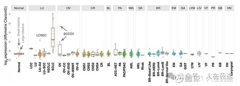 研发前沿|Abbvie的SEZ6 ADC与其新payload SCLC与SEZ6 小细胞肺癌 (SCLC) 是一种侵袭性神经内分泌癌,占所有诊断肺癌的 13-15%,全球每年诊断出约... - 雪球