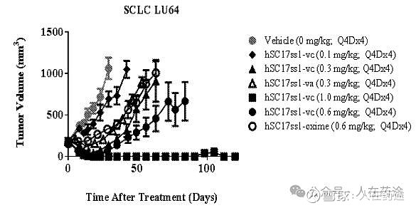 研发前沿|Abbvie的SEZ6 ADC与其新payload SCLC与SEZ6 小细胞肺癌 (SCLC) 是一种侵袭性神经内分泌癌,占所有 ...