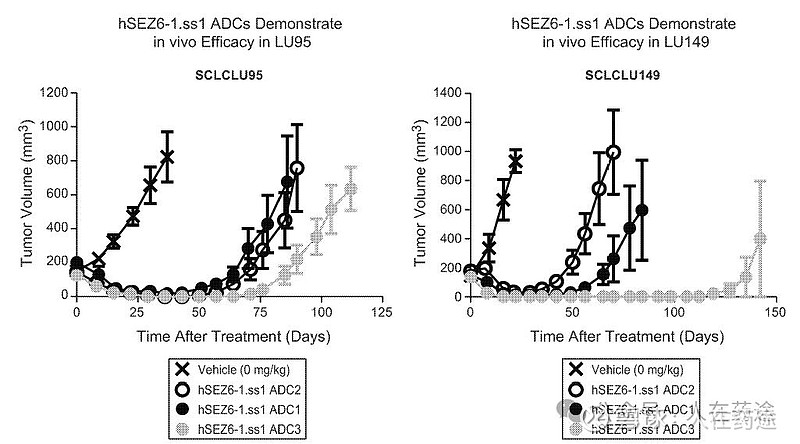 研发前沿|Abbvie的SEZ6 ADC与其新payload SCLC与SEZ6 小细胞肺癌 (SCLC) 是一种侵袭性神经内分泌癌,占所有诊断肺癌的 13-15%,全球每年诊断出约... - 雪球