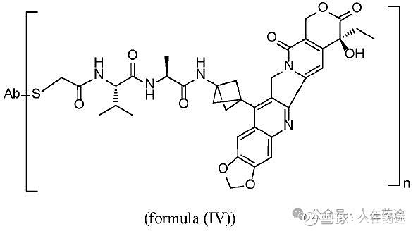 研发前沿|Abbvie的SEZ6 ADC与其新payload SCLC与SEZ6 小细胞肺癌 (SCLC) 是一种侵袭性神经内分泌癌,占所有诊断肺癌的 13-15%,全球每年诊断出约... - 雪球