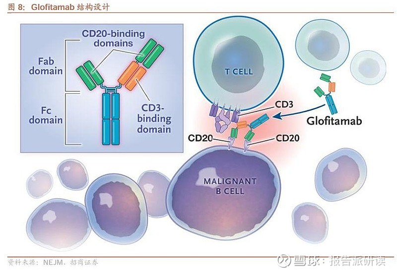 创新药TCE双抗：结构设计映射临床疗效，实体瘤适应症有所突破 报告出品方： 招商证券 以下为报告原文节选------一、TCE双抗：肿瘤杀伤 ...