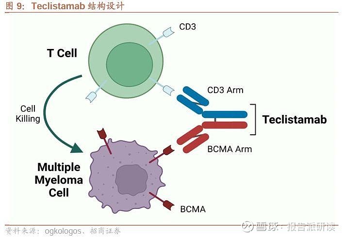 创新药TCE双抗：结构设计映射临床疗效，实体瘤适应症有所突破 报告出品方： 招商证券 以下为报告原文节选------一、TCE双抗：肿瘤杀伤 ...