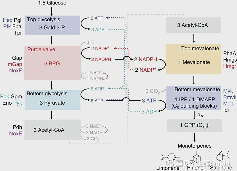 加州大学教授创办，拟募资超1700万美元，无细胞技术初创申请IPO，正在生产“下一代”分子 近期，一家合成生物学初创公司 Invizyne ...