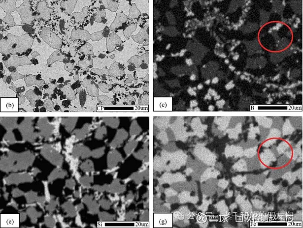 EPMA（WDS-EDS）在金属和陶瓷中的应用：显微结构演化与相图 半导体工程师 2024-03-26 07:26 北京 在 材料科学 领域 ...