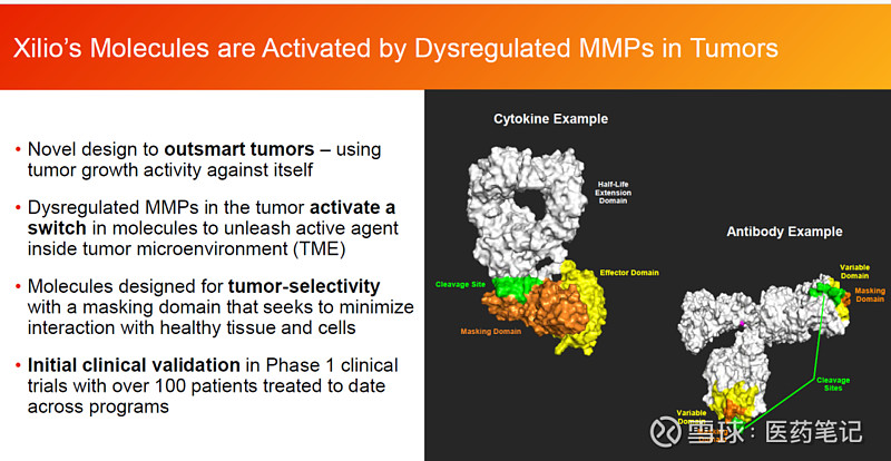 6.5亿美元：吉利德引进Xilio的IL-12前药 Armstrong 2024年3月28日， 吉利 德引进 Xilio ...