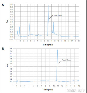 新药研发利器：Gibco TrypLE Express助力细胞解离技术革新 在细胞消化解离试剂的选择和使用过程中，您是否会经常遇到这些问题 ...