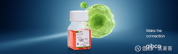 新药研发利器：Gibco TrypLE Express助力细胞解离技术革新 在细胞消化解离试剂的选择和使用过程中，您是否会经常遇到这些问题 ...