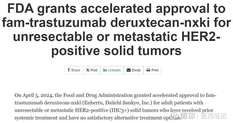 泛瘤种突破：DS-8201获FDA批准治疗HER2阳性实体瘤 Armstrong 2024年4月5日，FDA加速批准Trastuzumab ...