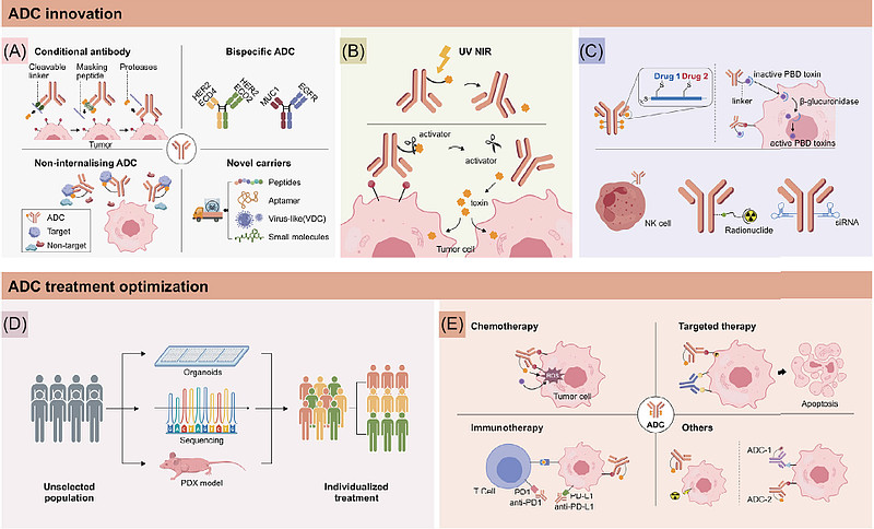 中肿团队系统概述ADC药物的发展现状与未来 近年来，抗体偶联药物（ADC）已经取得了突破性进展，成为抗肿瘤药物中发展最迅速的领域之一，但是尚 ...