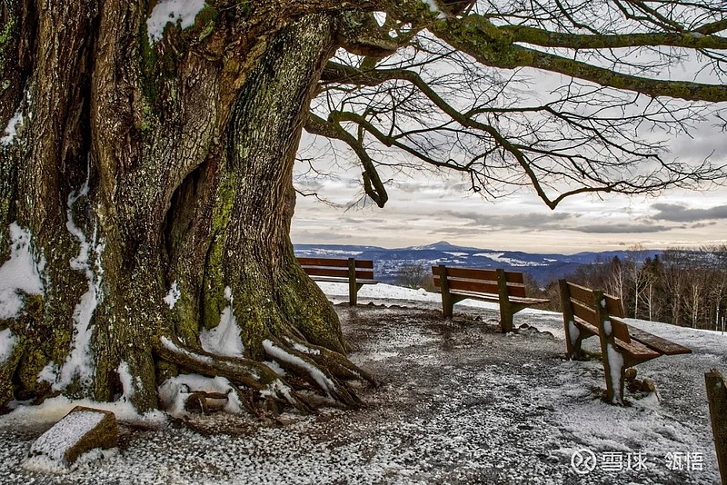 QDII的前世今生 ! QDII，是"Qualified Domestic Institutional Investor"的首字... - 雪球