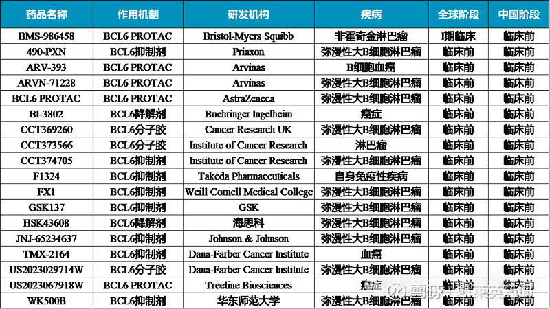 Arvinas：首次披露靶向BCL6 PROTAC降解剂ARV-393的化学结构，有望于2... 欢迎关注 凯莱英 药闻近日， Arvinas ...