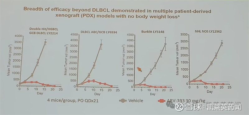 Arvinas：首次披露靶向BCL6 PROTAC降解剂ARV-393的化学结构，有望于2... 欢迎关注 凯莱英 药闻近日， Arvinas ...