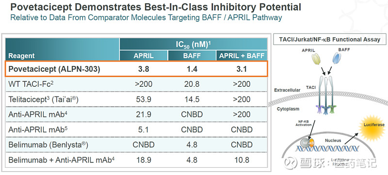 49亿美元：Vertex收购Alpine，获得泰它西普同类药物 Armstrong 2024年4月10日， Vertex ...