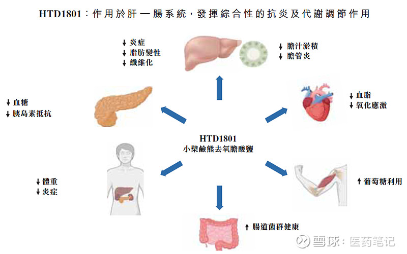 君圣泰：HTD1801启动二型糖尿病两项三期临床 Armstrong 2024年4月8-9日，君圣泰生物在Clinicaltrials.gov ...