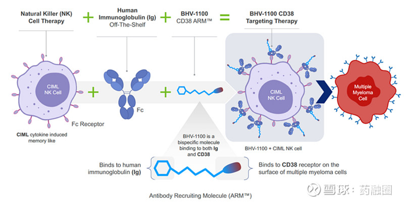 116亿美金卖掉后：新Biohaven重仓ADC、减脂增肌、偏头痛赛道 注：本文不构成任何投资意见和建议，以官方/公司公告为准；本文仅作 医疗健康 相关药物介绍，非治疗方案推荐（若涉及），不代 ...