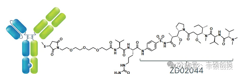 康宁杰瑞HER2双表位ADC分析 康宁杰瑞KN046治疗晚期鳞状sqNSCLC的临床III期临床，OS暂未达到统计学显著性差异未能成功揭盲 ...