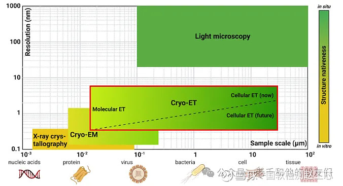 TEM专题 | 冷冻电镜断层成像（Cryo-ET）技术解读 半导体工程师 2024-04-24 07:03 马来西亚在材料领域，透射电镜（TEM）已经可以观测到原子之间的排布。尽管... - 雪球