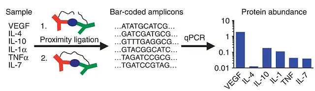 免疫PCR技术丨基于PLA原理的寡核苷酸探针及连接子设计方案 PLA技术全称为Proximity Ligation Assay是一种特殊的免疫 ...