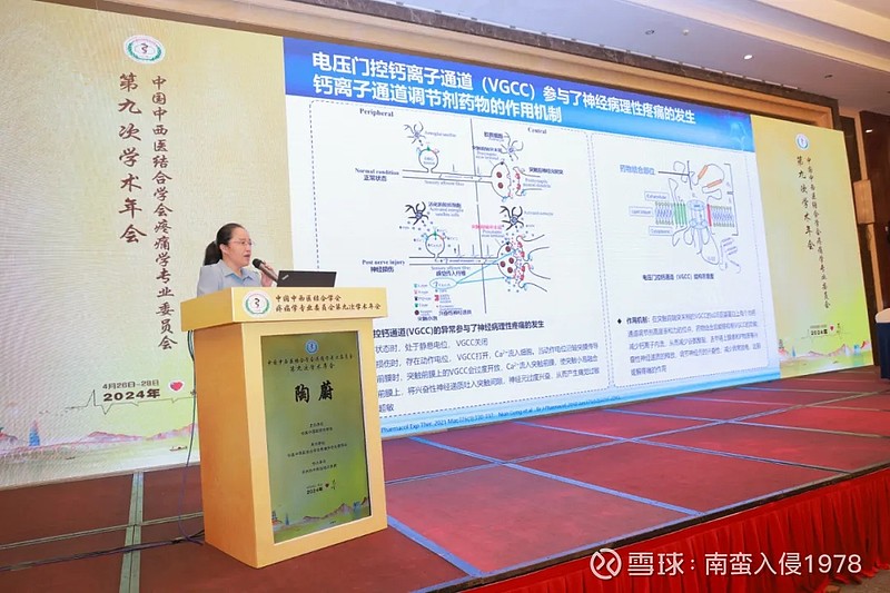 $海思科(SZ002653)$ 填补DPNP治疗空白，克利加巴林——第三代中枢神经系统钙离子通道调节剂即将荣耀上市 医脉... - 雪球