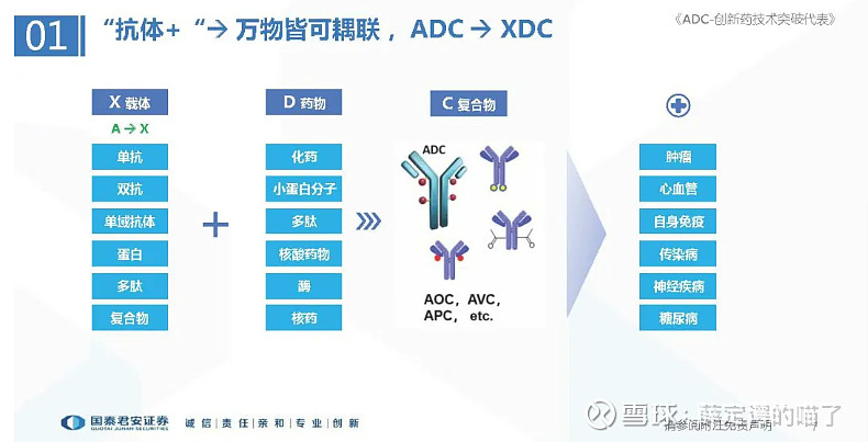 当下看ADC，将来看XDC ADC（antibody drug conjugate，抗体偶联药物）的概念最早始于德国医学家、诺贝尔奖得主Paul E... - 雪球