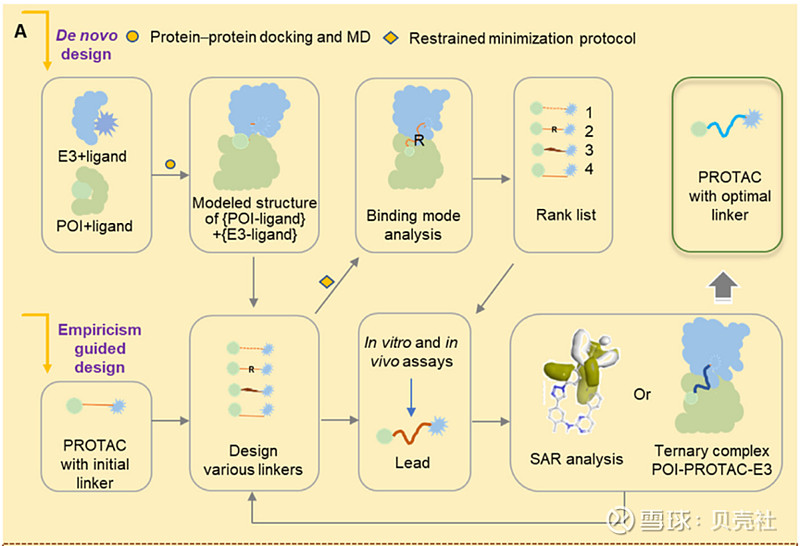PROTAC设计中Linker特性的探索与创新 药渡 / balabala 靶向嵌合体蛋白水解（PROTAC）技术代表了药物发现领域的突破性 ...