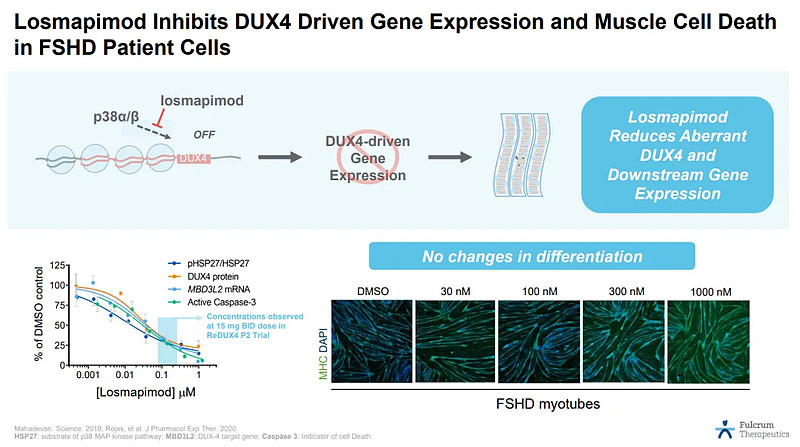 超10亿美元！赛诺菲引进一款p38α/β抑制剂 5月13日， Fulcrum Therapeutics 宣布与赛诺菲就Losmapimod（洛 ...
