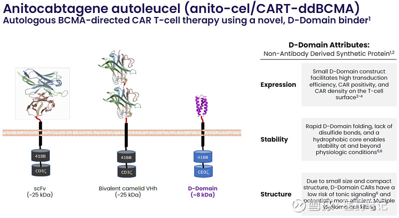 吉利德/Arcellx：新一代BCMA CAR-T启动三期临床 Armstrong 2024年5月14日， 吉利 德、 Arcellx 在 ...