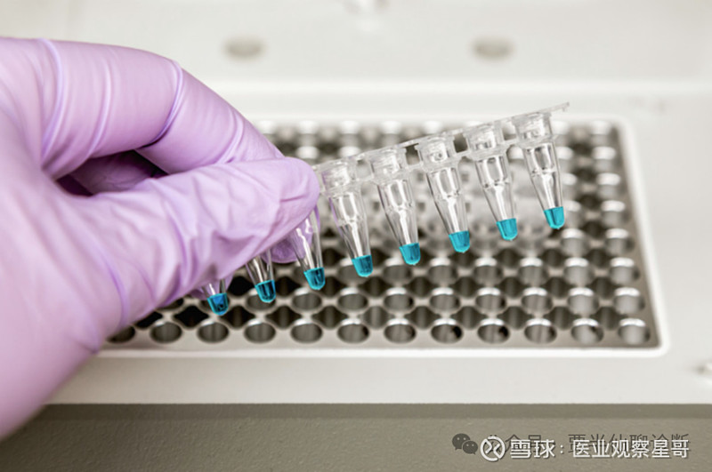 PCR技术的前世今生 有观点，有态度 这是医业观察的第2144-7期文章 来源：贾半仙聊诊断 笔者在求学阶段懵懵懂懂的接触了PCR实验，毕业课... - 雪球