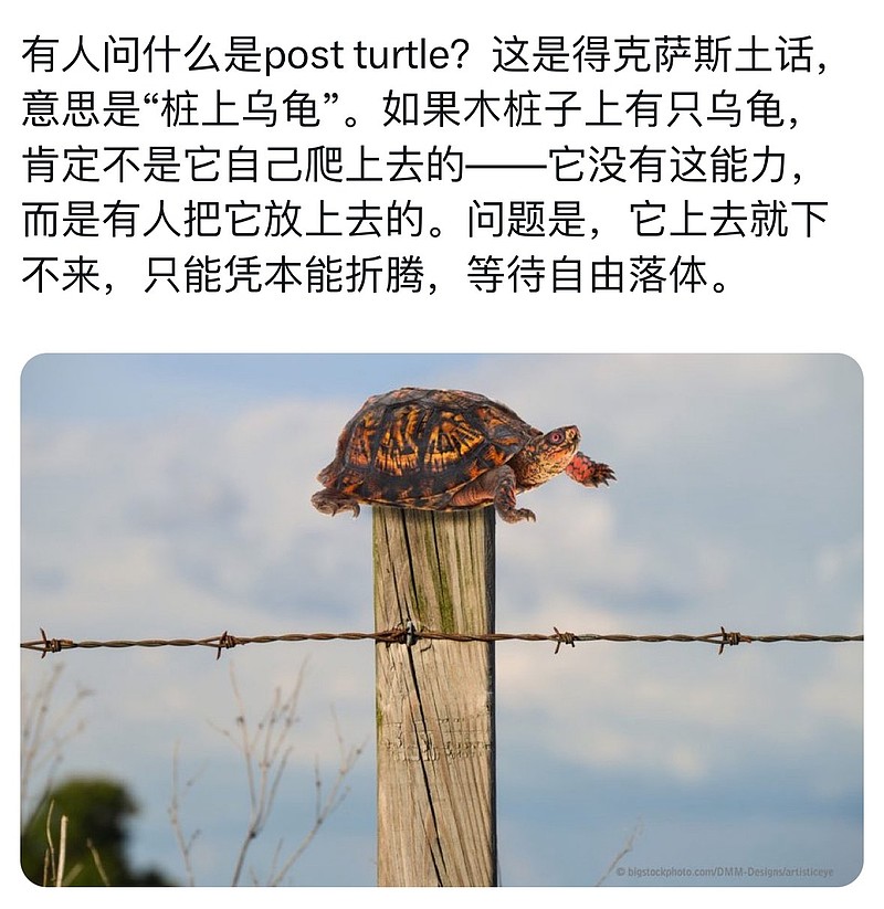 post turtle，学到一个新词儿。 - 雪球