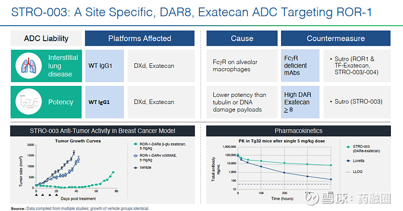 ROR1 ADC火了，近期付款达6.52亿 注：本文不构成任何投资意见和建议，以官方/公司公告为准；本文仅作 医疗健康 相关药物介绍，非治疗方案推荐（若涉及），不代... - 雪球