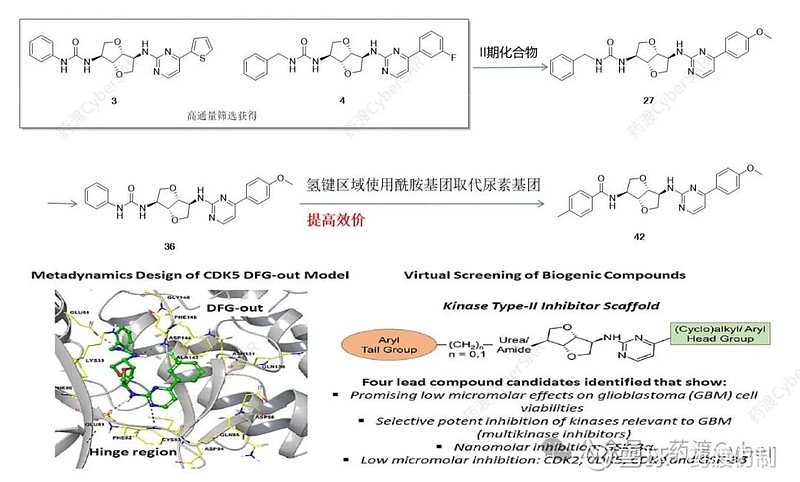 CDK5强效II型激酶抑制剂：开辟胶质母细胞瘤治疗新前沿 来源：药渡Cyber快看版本文介绍了一种新型的II型细胞周期蛋白依赖性激酶5 ...