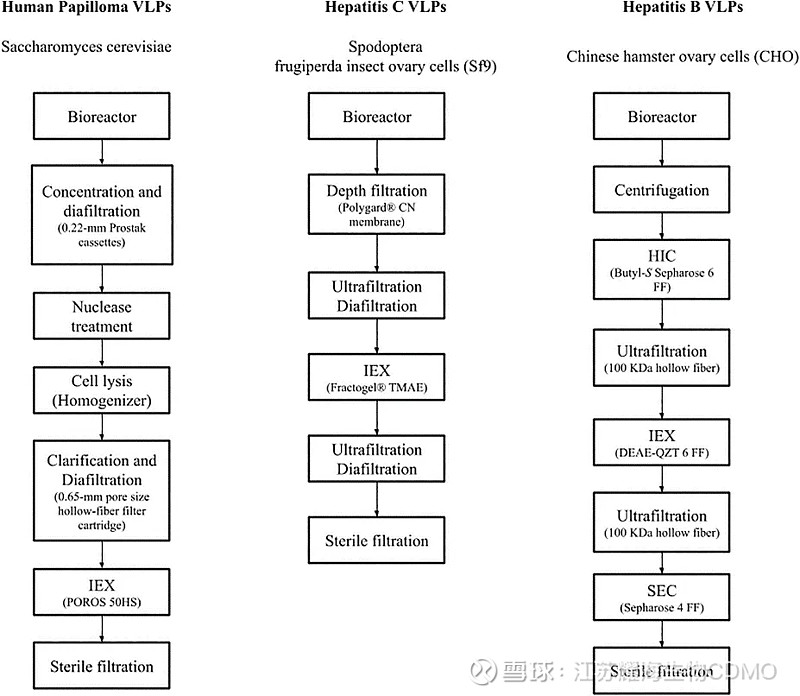 一起走进VLP的连续生产 导读病毒样颗粒(Virus-like particles, VLP)是自组装、非复制、非致病性、高度组织的超分子纳米 ...