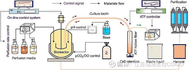 一起走进VLP的连续生产 导读病毒样颗粒(Virus-like particles, VLP)是自组装、非复制、非致病性、高度组织的超分子纳米 ...