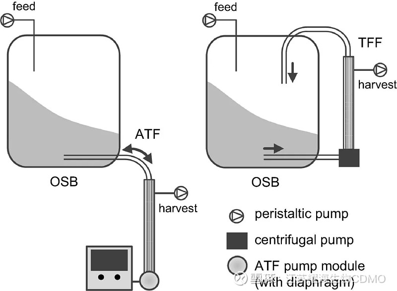 一起走进VLP的连续生产 导读病毒样颗粒(Virus-like particles, VLP)是自组装、非复制、非致病性、高度组织的超分子纳米 ...