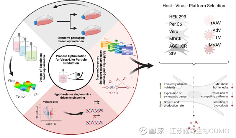 解锁VLP疫苗奥秘：初学者入门VLP疫苗指南及最全VLP表达平台解析 导读病毒样颗粒（Virus-like Particles，VLP）是一种 ...