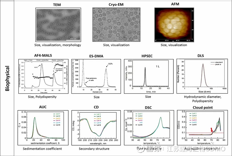 分析前沿！VLP疫苗的质控与表征（必藏攻略） 病毒样颗粒(Virus like particle, VLP)是由一个或多个具有自组装能力的不同 ...