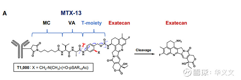 12亿美元！又一个ADC项目出海 #ADC药物# #肿瘤药物# 【华义文随笔】当地时间6月18日，美国 Day One ...