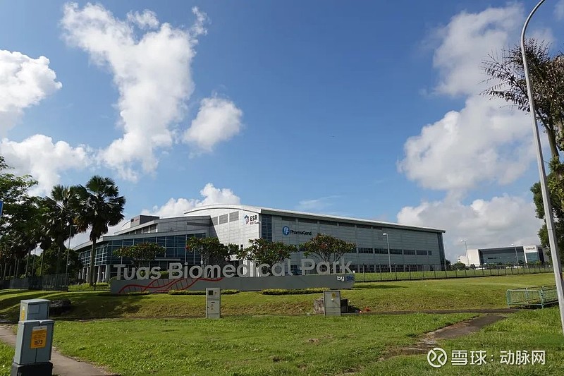 PharmaGend：一个中国药企的“新全球化”出海闭环样本 作为东南亚唯一的发达国家，新加坡有着“财富之城”的称号，也是继纽约、伦敦、中国 ...