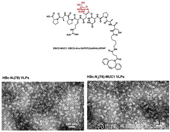 前沿！VLP位点的特异性修饰竟然可以提高抗肿瘤能力、降低自身免疫原性 导读病毒样颗粒（Virus-like Particles，VLPs）是由 ...