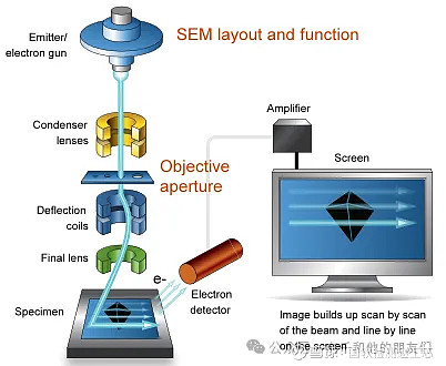扫描电镜（SEM）技术解读 半导体工程师 2024年07月07日 08:24 北京扫描电镜（SEM）是利用电子束扫描样品表面，产生二次电子等信号，通... - 雪球