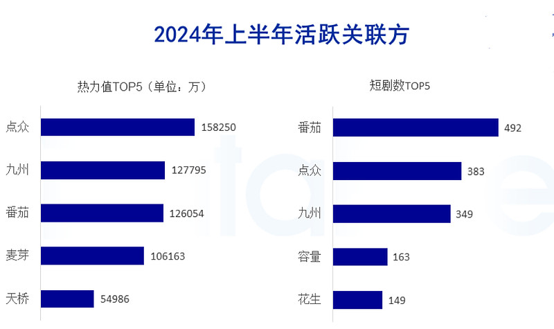 独家发布！2024上半年微短剧投流白皮书 $腾讯控股(00700)$ $哔哩哔哩(BILI)$ $拼多多(PDD)$ DataEye《2024上半年微短剧投流白皮... - 雪球