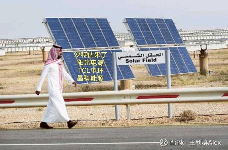 TCL中环 ：拟与Vision Industries 、RELC签署股东协议 共同在沙特投建年产20GW... - 雪球