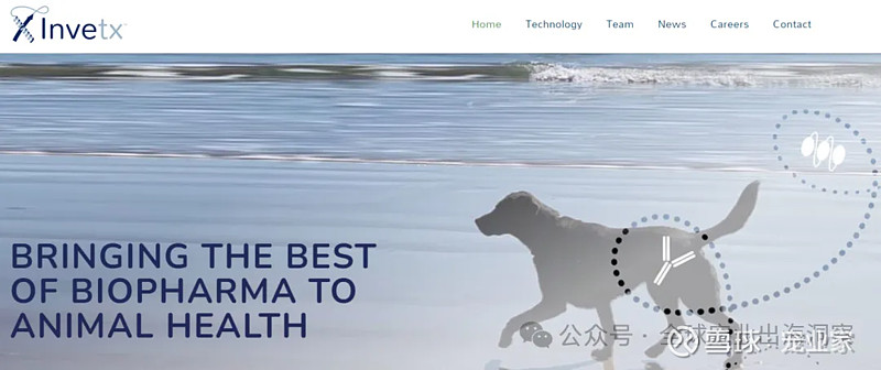 38亿元押注宠单抗，德克罗收购宠物药初创公司Invetx 宠物治疗性单克隆抗体疗法，会是未来20年宠物疾病诊疗领域的蓝海吗？宠物行业观察消息 ...