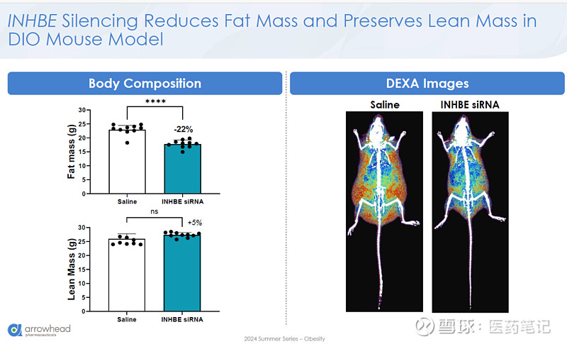 Arrowhead：脂肪递送siRNA技术进军减重赛道 Armstrong 2024年8月14日，Arrowhead举办研发日活动（part ...